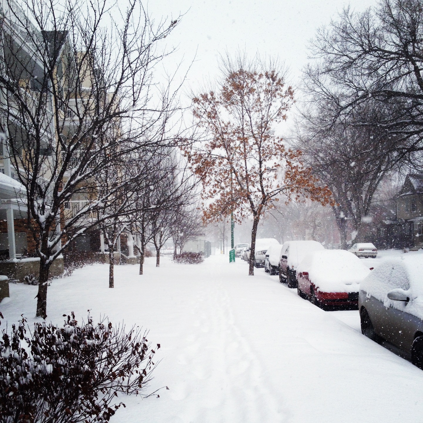 we lived our lives in style: First Snow Fall