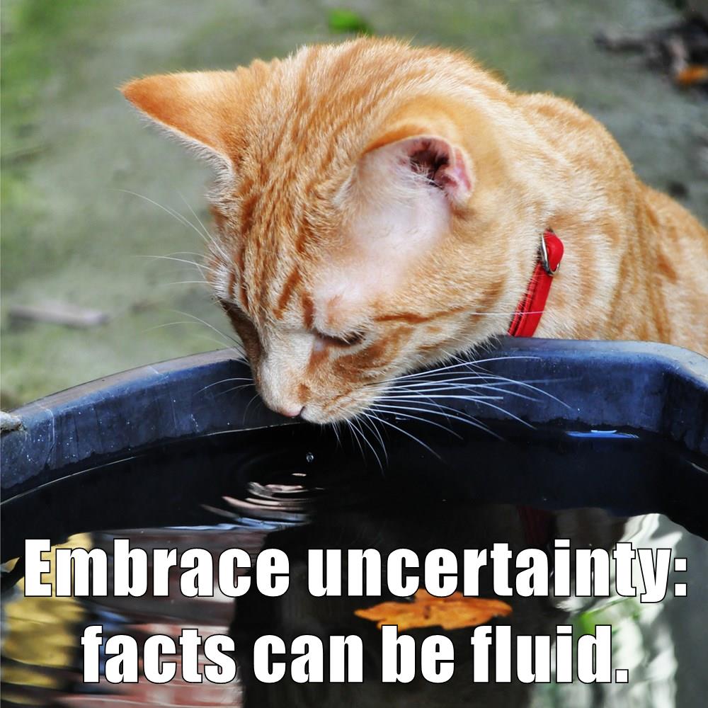 Growth Mindset & Feedback Cats: Embrace uncertainty: facts can be fluid.