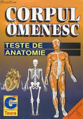 anatomia si fiziologia omului: Sistemul digestiv ...Video