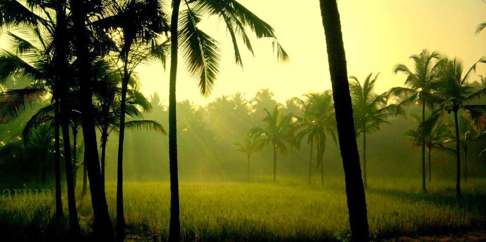 Ente Gramam : November 2014