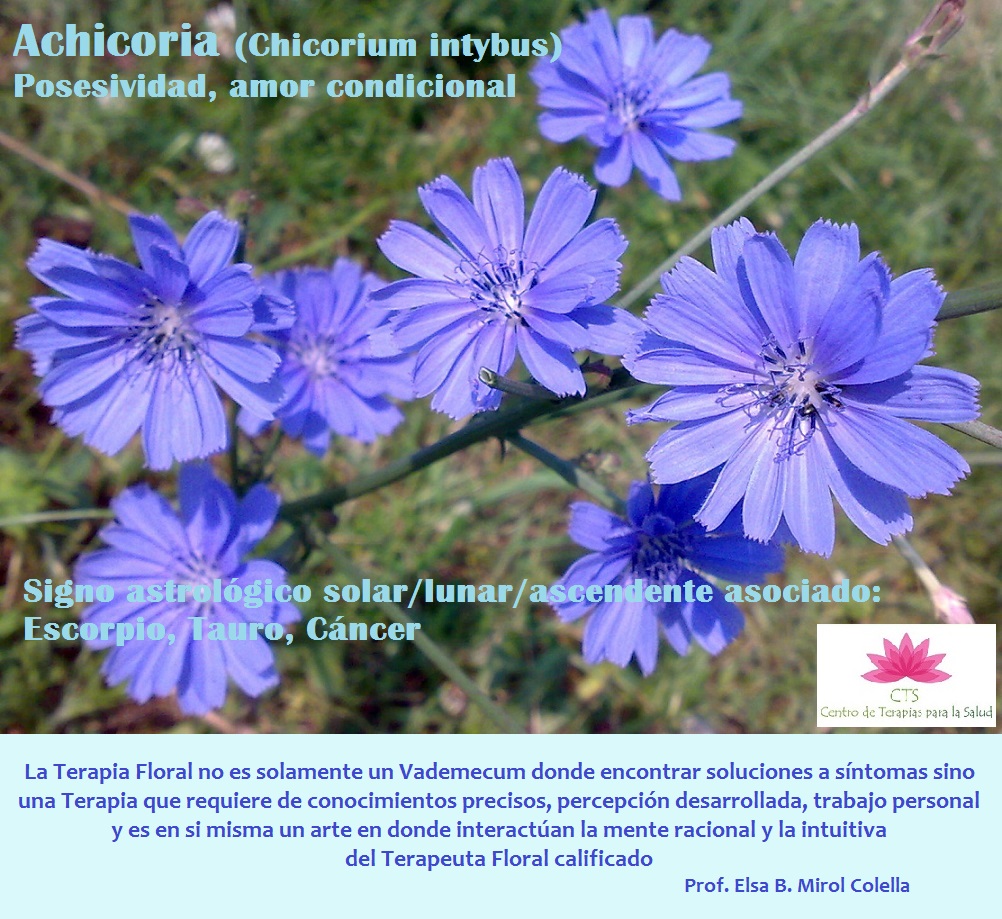 CTS-CENTRO DE TERAPIAS PARA LA SALUD: ELIXIRES DE SIRIO Y ASTROLOGIA ...