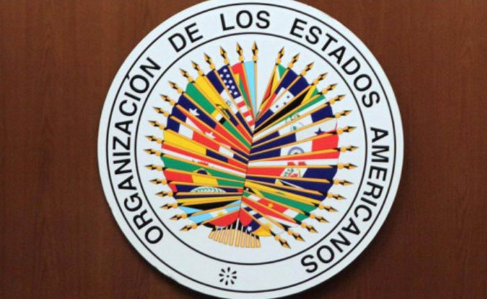 Todo lo que necesita saber sobre la OEA