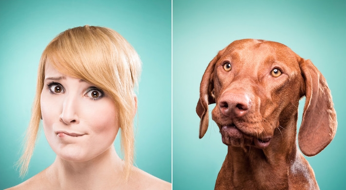 White Wolf : Pet Owners Mimic Their Dogs in Adorable Look-Alike Portraits