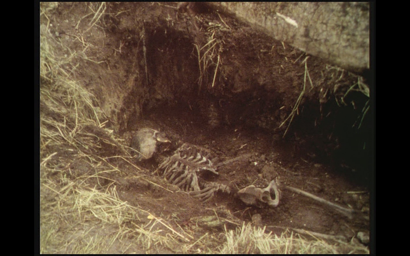 Cathode Ray Tube: GHOST STORIES: The Signalman, Stigma & The Ice House ...