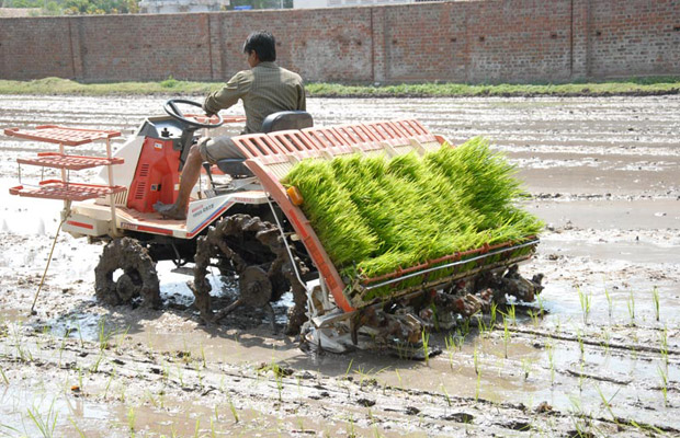 6 advanced agricultural technology from Japan - DTECH