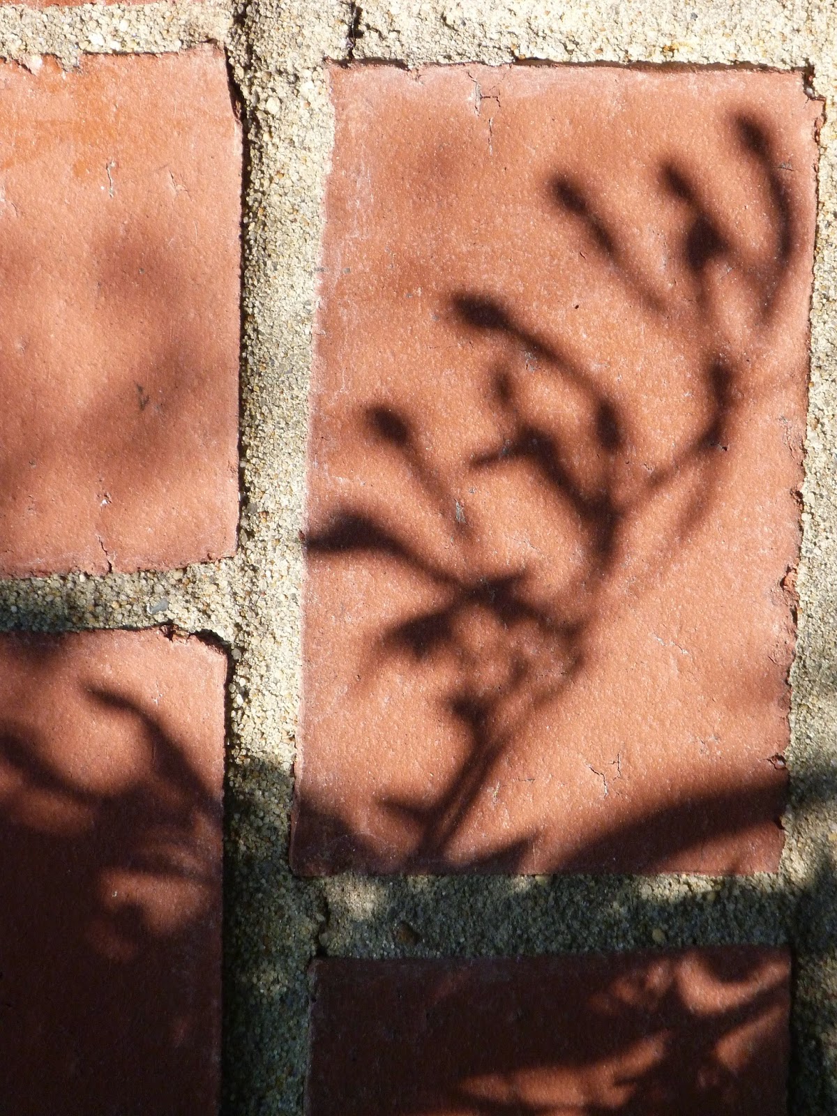 Creative Media: UNIT 57: Use of shadows