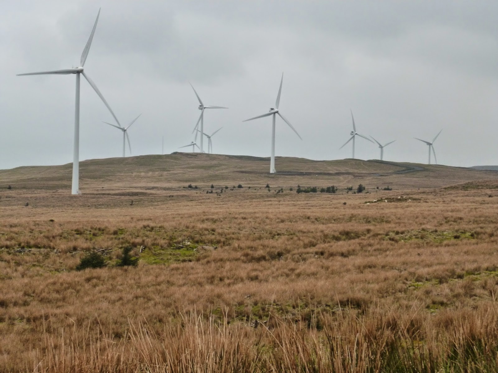 Gordon and Anne's Blog: April 2014