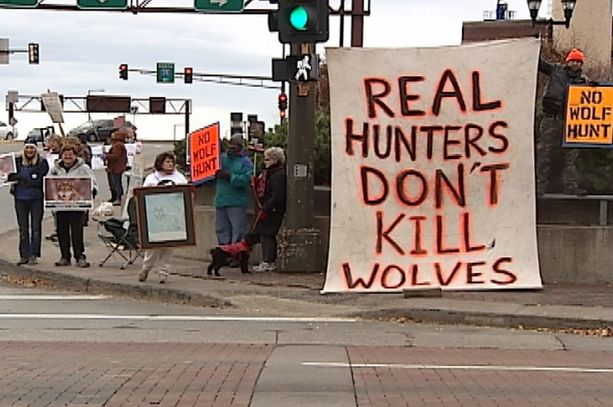 STOP WOLF HUNTS: WOLF HATERS ~ WOLF HUNTERS