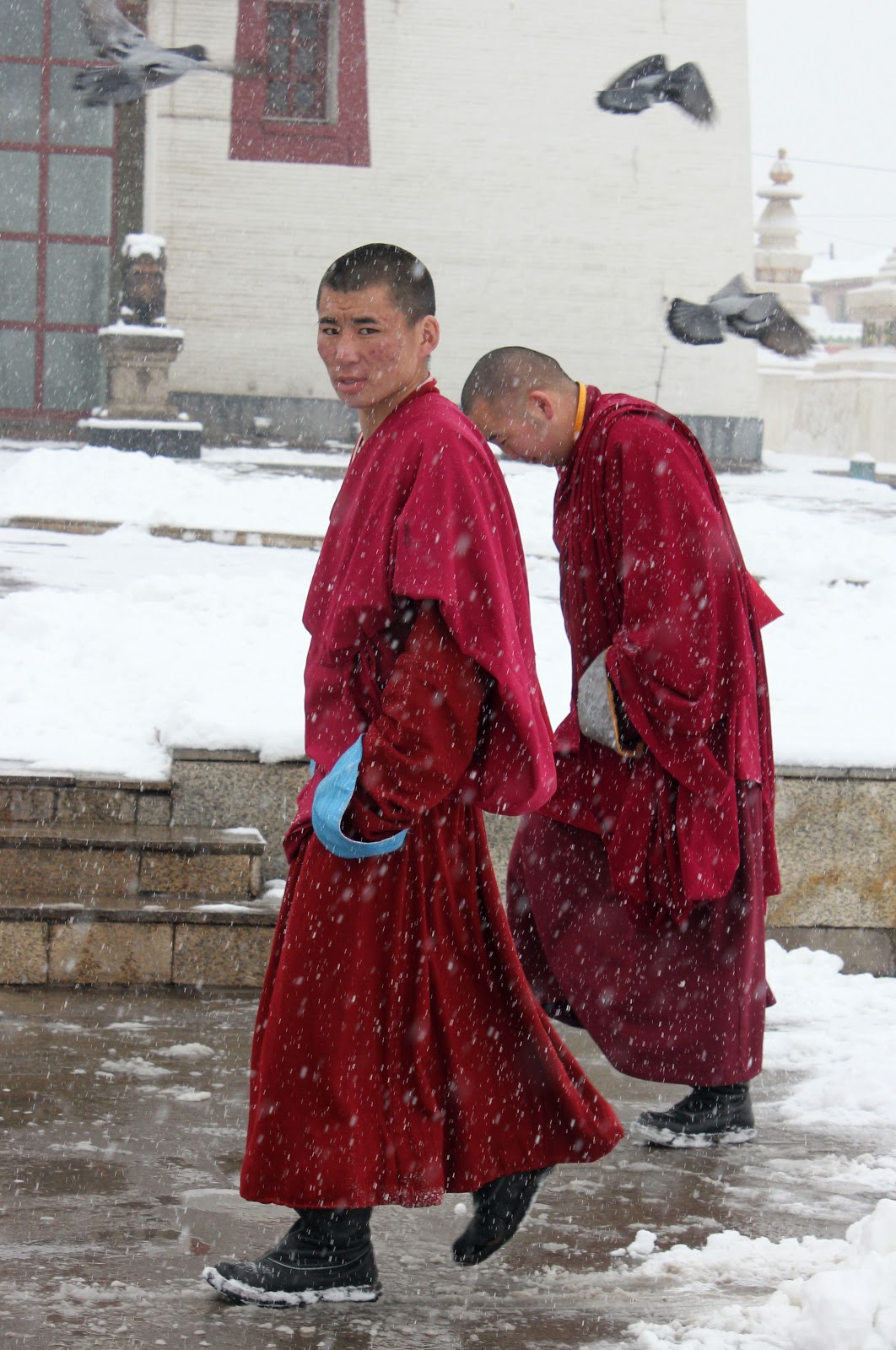 Musings in Mongolia: Gandan Monastery and returned missionary fireside