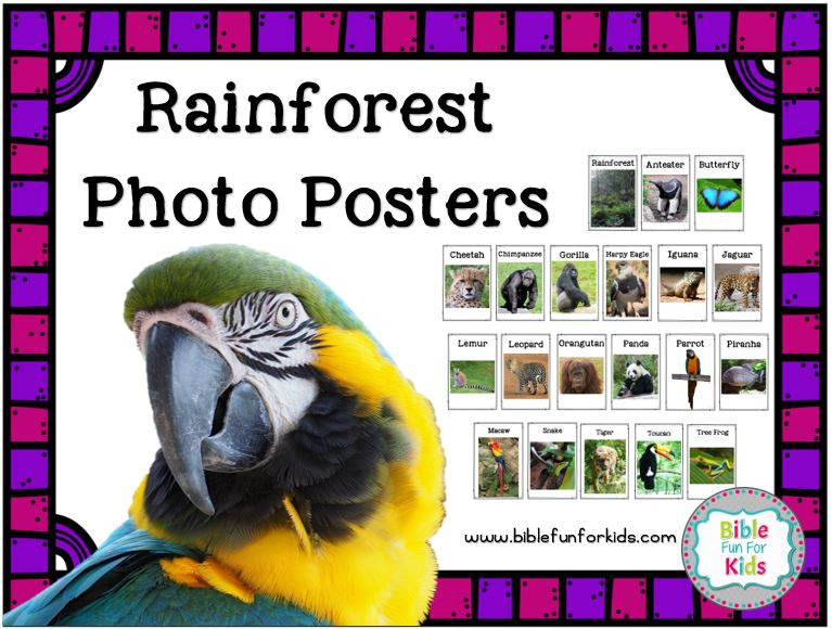 Bible Fun For Kids: God Makes the Animals in the Rainforest