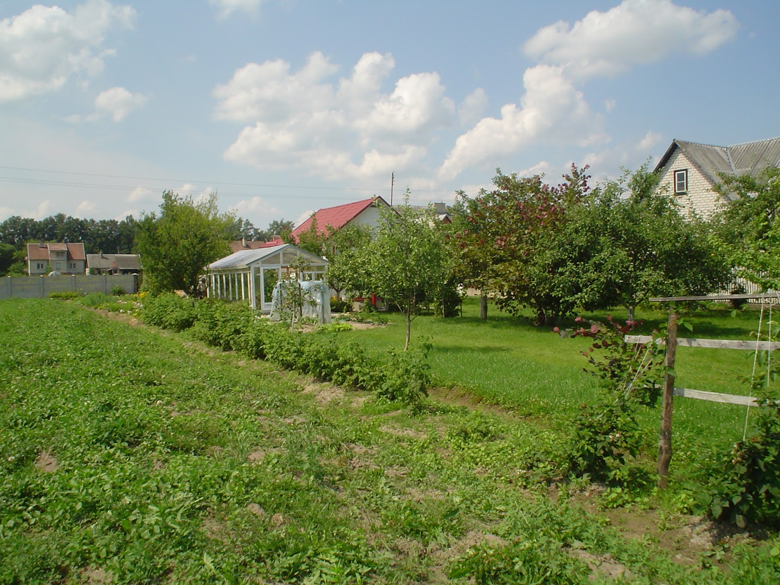 Lithuania and More: Jurbarkas countryside