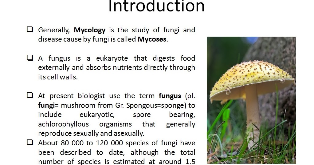 Mycology - Your Learning Point