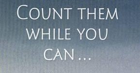 Kids' Book Review: Review: Count Them While You Can…