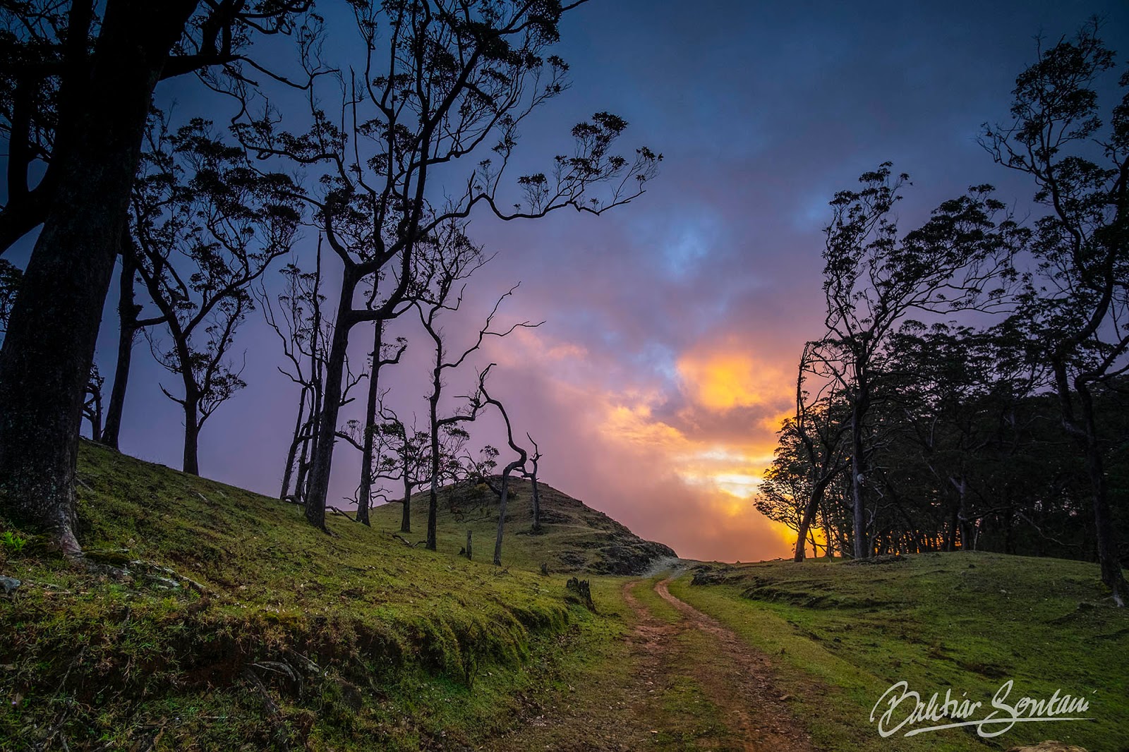 Indonesia Sungguh Indah: Padang Sabana Gunung Mutis