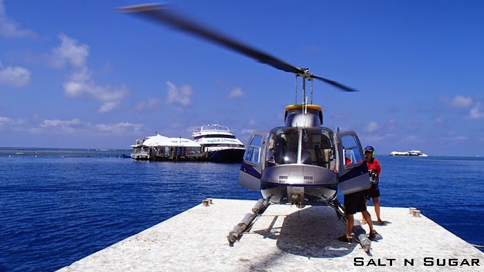 Salt and Sugar: Cairns – Reef Magic Moore Reef Pontoon – 唯一的5 Hours on ...