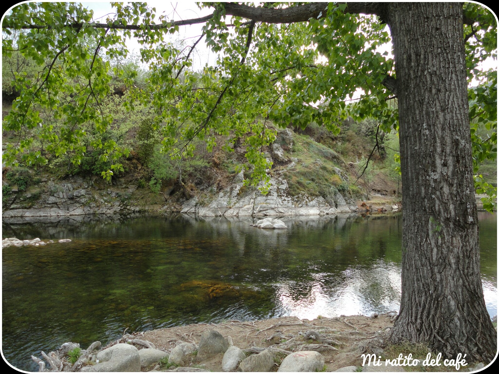 Mi ratito del café: Valle del Jerte y Plasencia