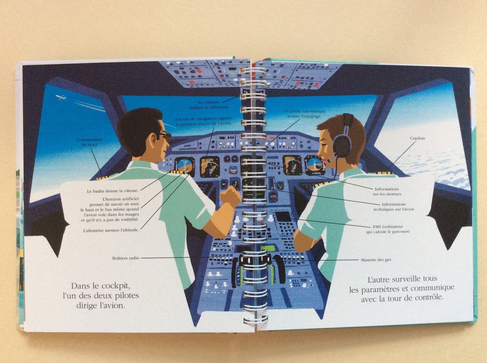 Des Planches Illustrées: Le Voyage en Avion