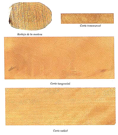 Agroforesta S.A.C: Maderas y derivados