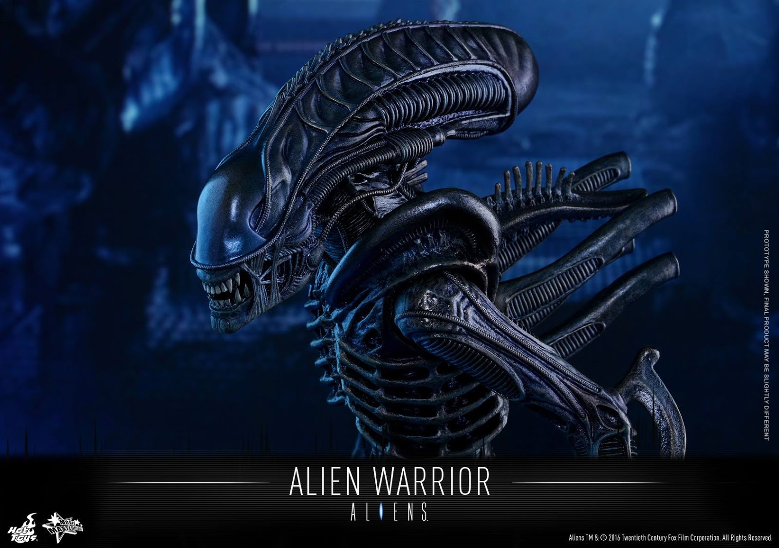 toyhaven: Hot Toys all new "Aliens" Xenomorph 1/6th scale Alien Warrior ...