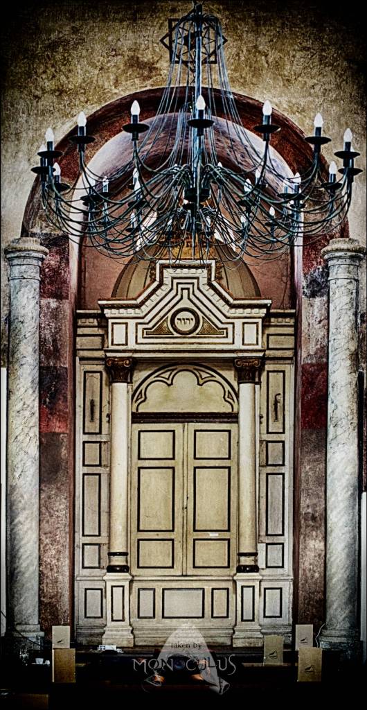 Heremita Monoculus: Amazing Details