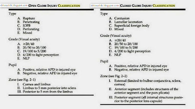 the blog of koushik tripathy: ocular trauma classification group ...