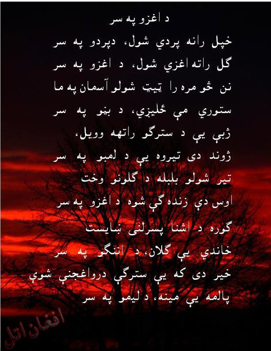 Pashto Eid "Akhtar" Poetry with Nice Pictures Designs, Akhtar Pashto ...