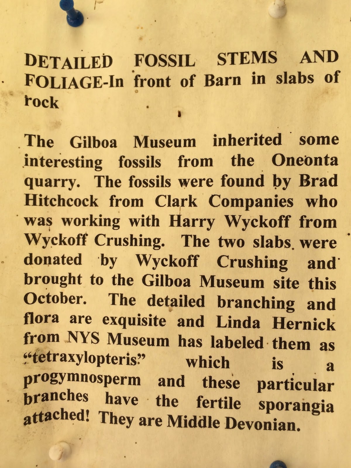 venturing4th: Gilboa Forest