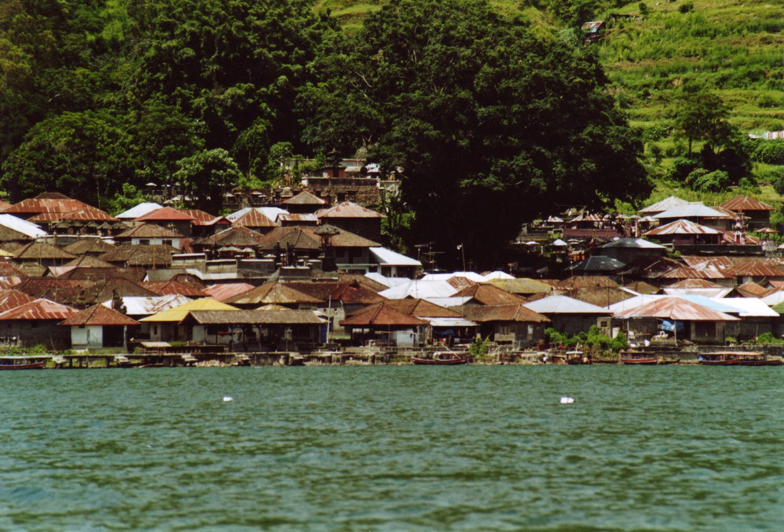 Java Travelling: The uniqueness of cemetry on Trunyan, Bali