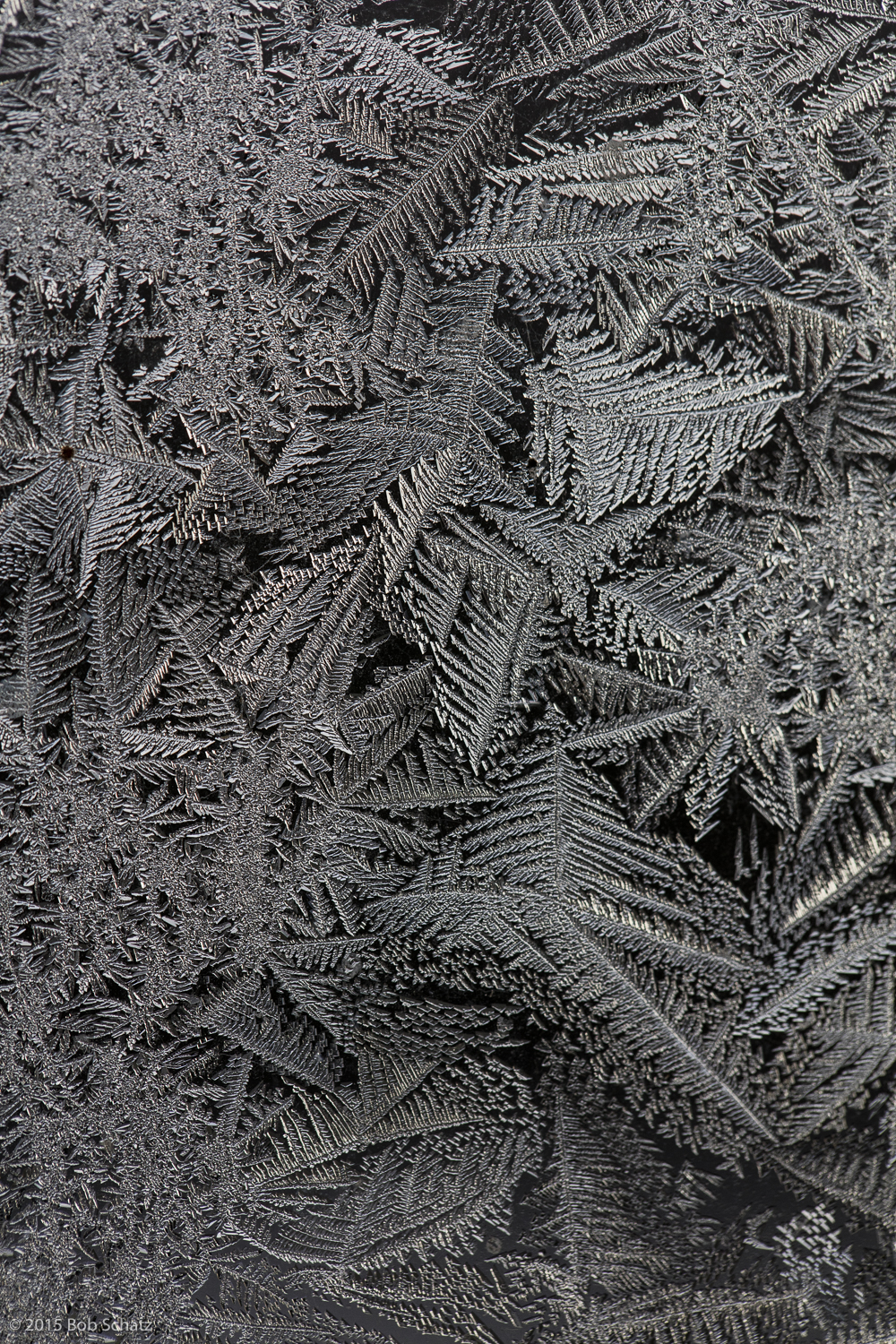 Content in a Cottage: Beautiful Frost Patterns on a Window