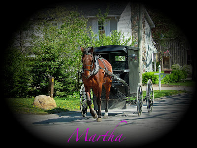 Pure Country Living: Martha : On how someone could become old order ...