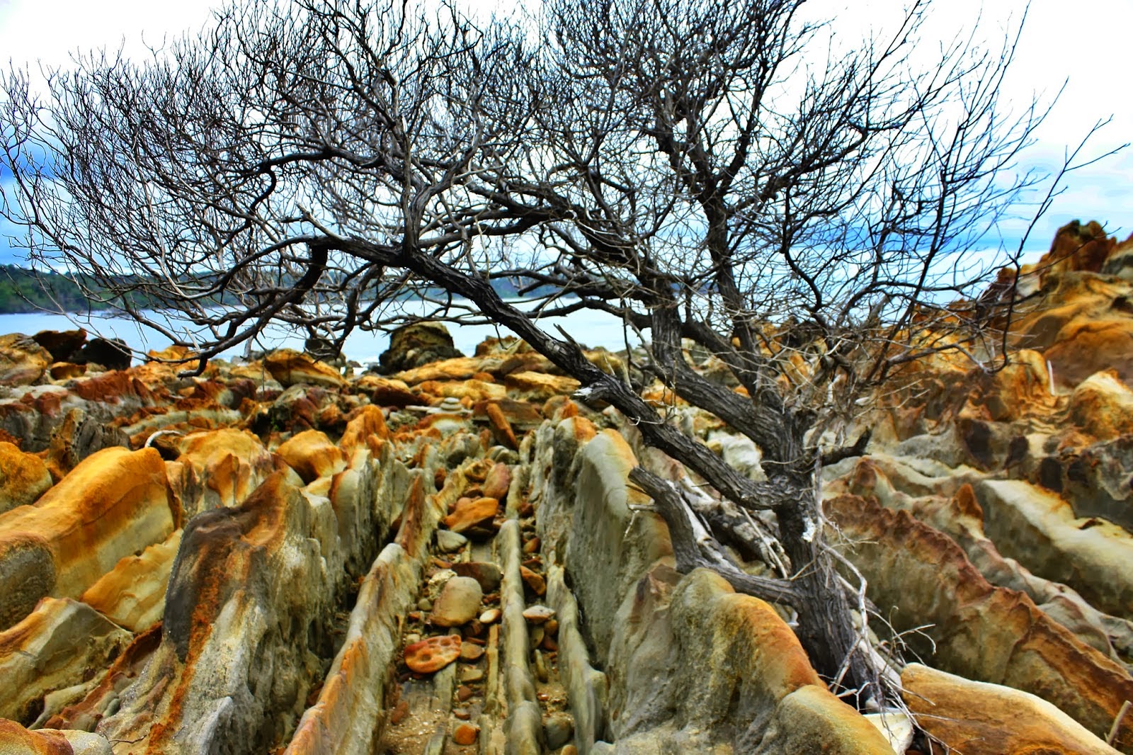 Ciletuh Geopark | Geopark-ciletuh