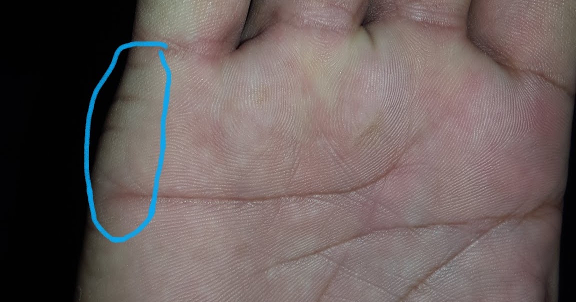 Palm Reading Children Lines (Latest Research 2023)