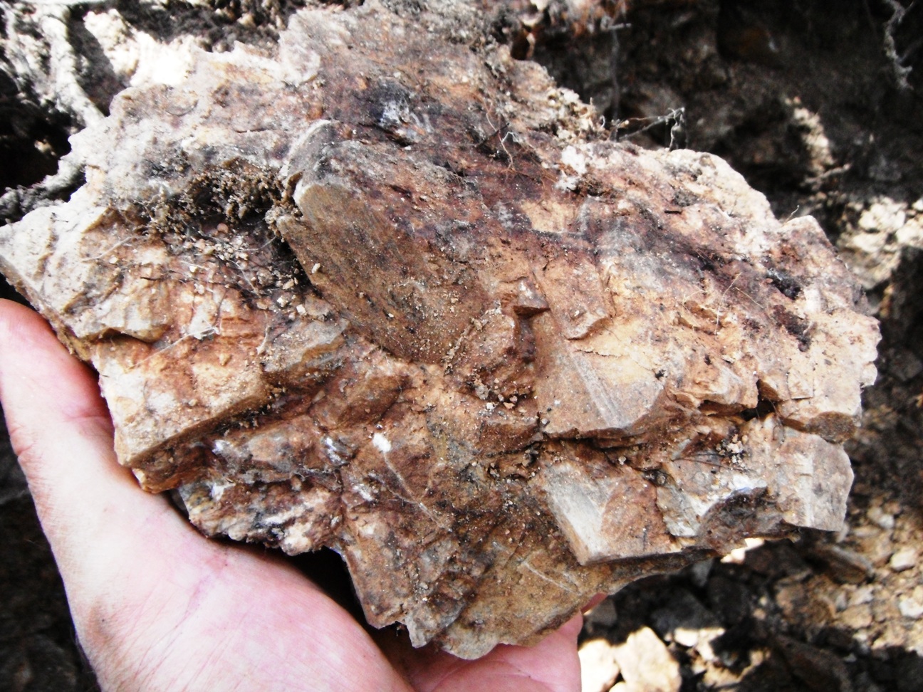 Rockhounding the Rockies: Rockhounding at Lake George