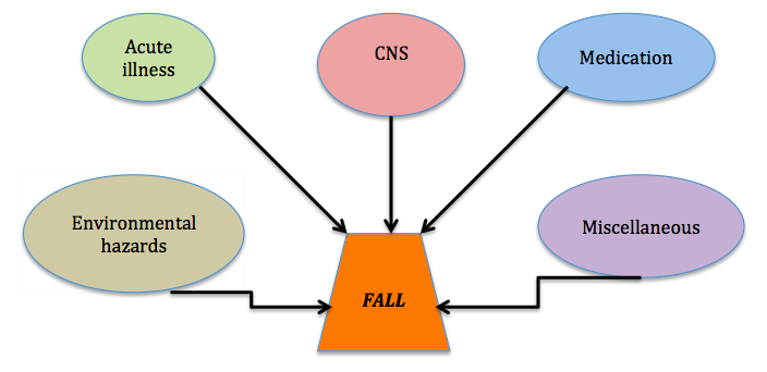 EM Didactic: June 2017