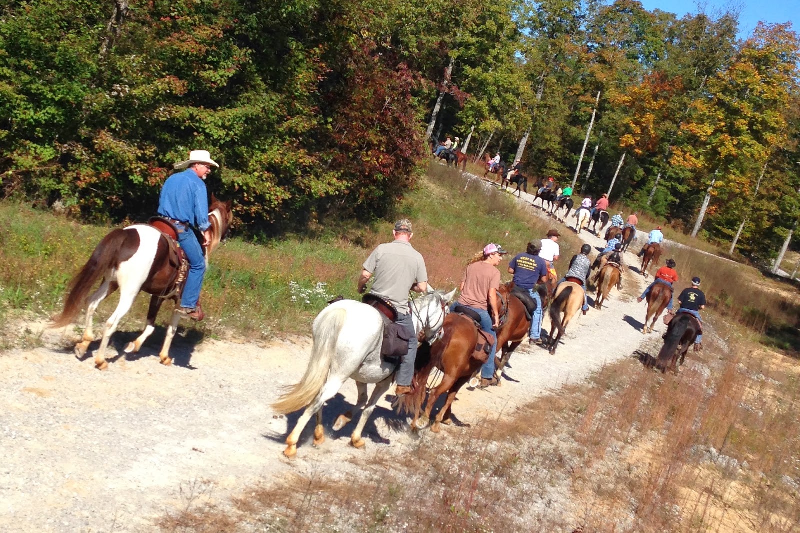 Foxtrotting Trail Riders Of Tennessee