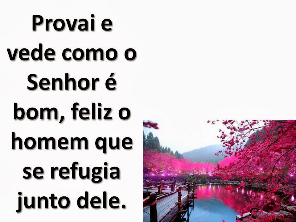 A Mão da Vida: Provai e vede como o Senhor é bom