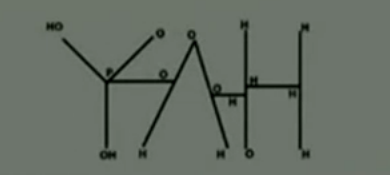 Aliem Contact: The Anunnaki Empire ("Anunnaki - Don't Watch This Film")