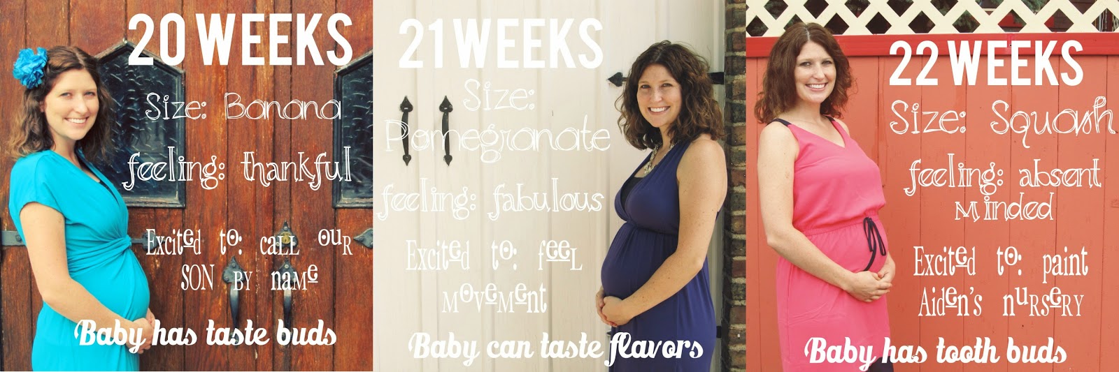 Nestful of love: Pregnancy Files: {My Patriotic Bump Week 24}