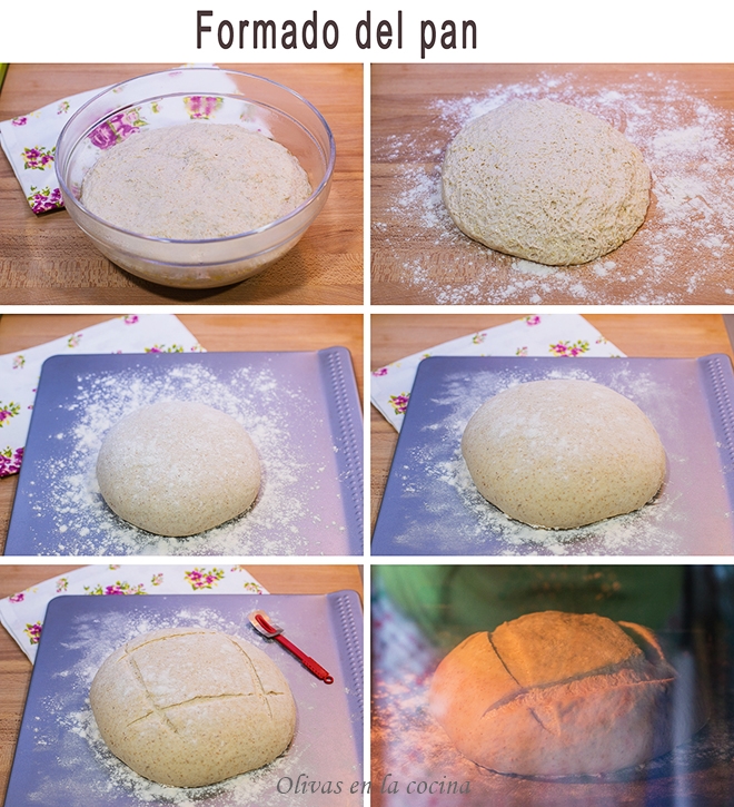 Pa de Pagès | Olivas en la cocina