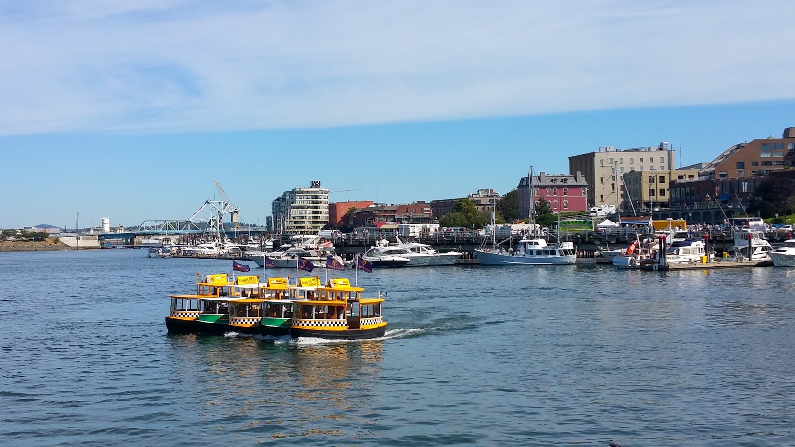 Treasure Seekers: Pickle Boat Panache in the Victoria Harbour