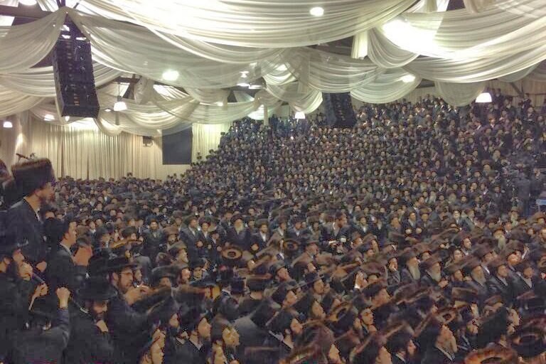 T.O.T. Private consulting services: Bobov 48 Wedding