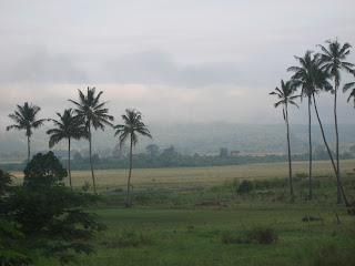 Battlefield News: The Advance down the Pangani River Valley Tanzania