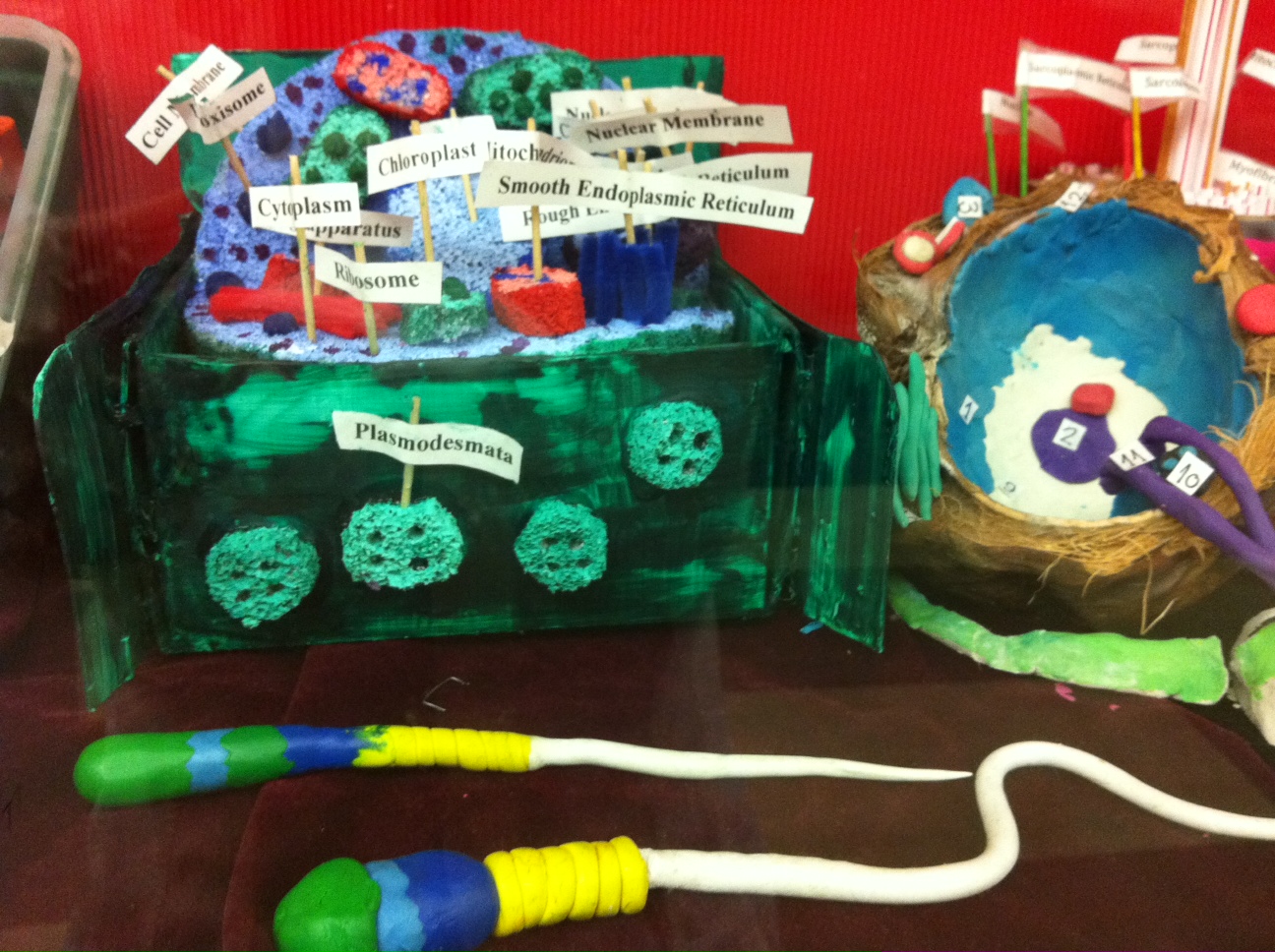 Western Technical-Commercial School: Prokaryotic or Eukaryotic?