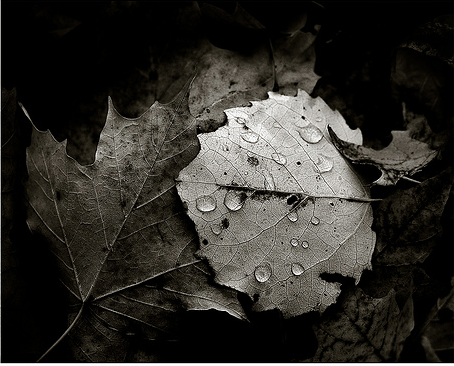 Grace Unit 1 Photography: Defintion Post - Tone