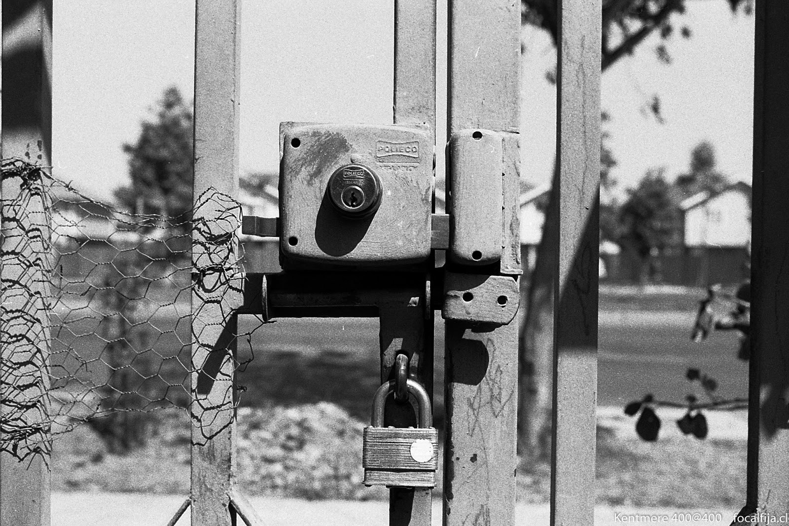 Kentmere 400 Push @800 @1600 @3200 Revelado con Rodinal