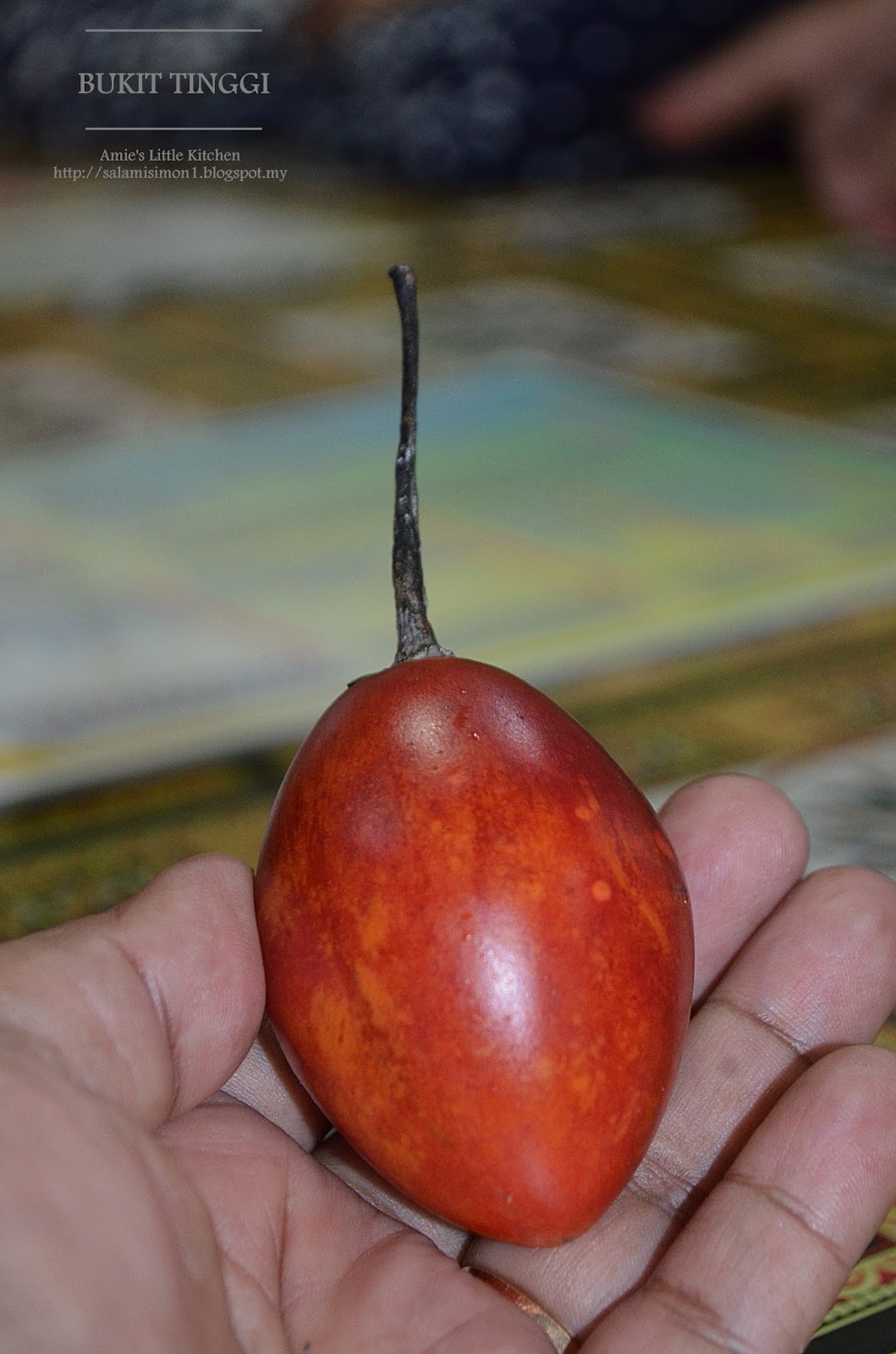 Jus Terong Peros @ Terung Belanda - Amie's Little Kitchen