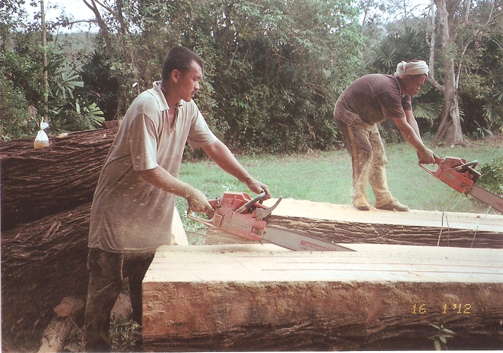 Tembesu: Kayu Tembesu