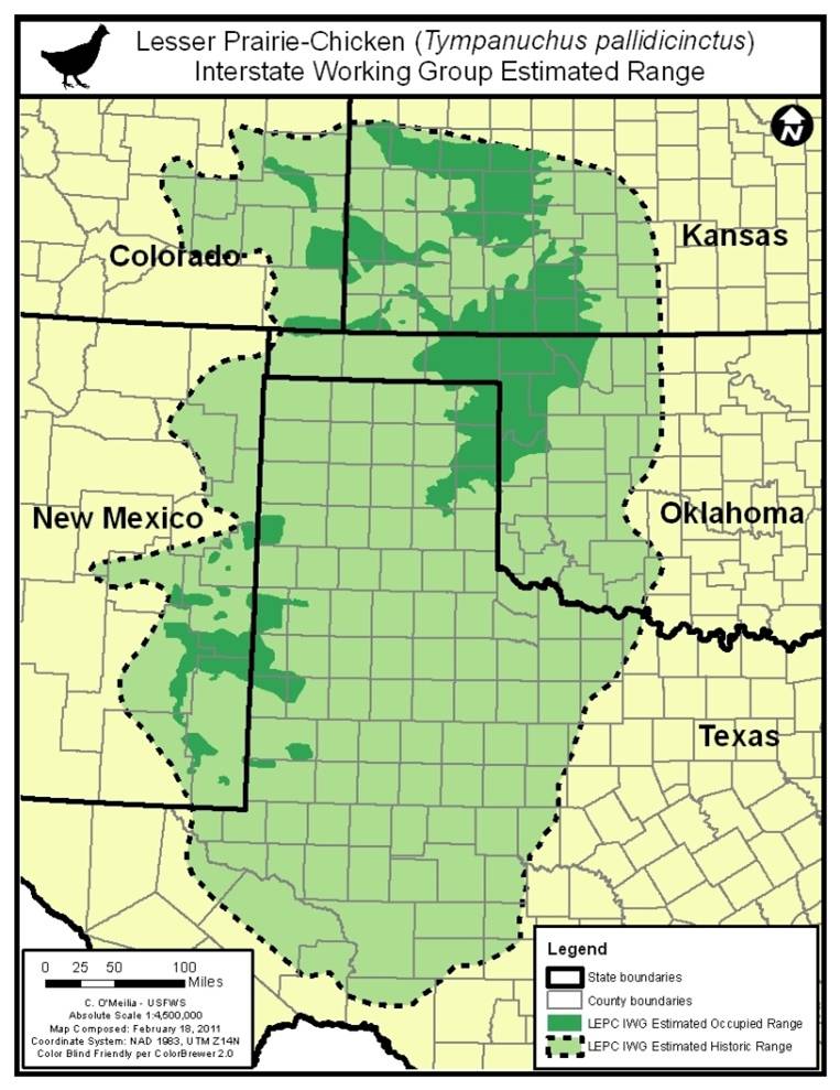 The Rural Blog: Fish and Wildlife Service takes lesser prairie chicken ...