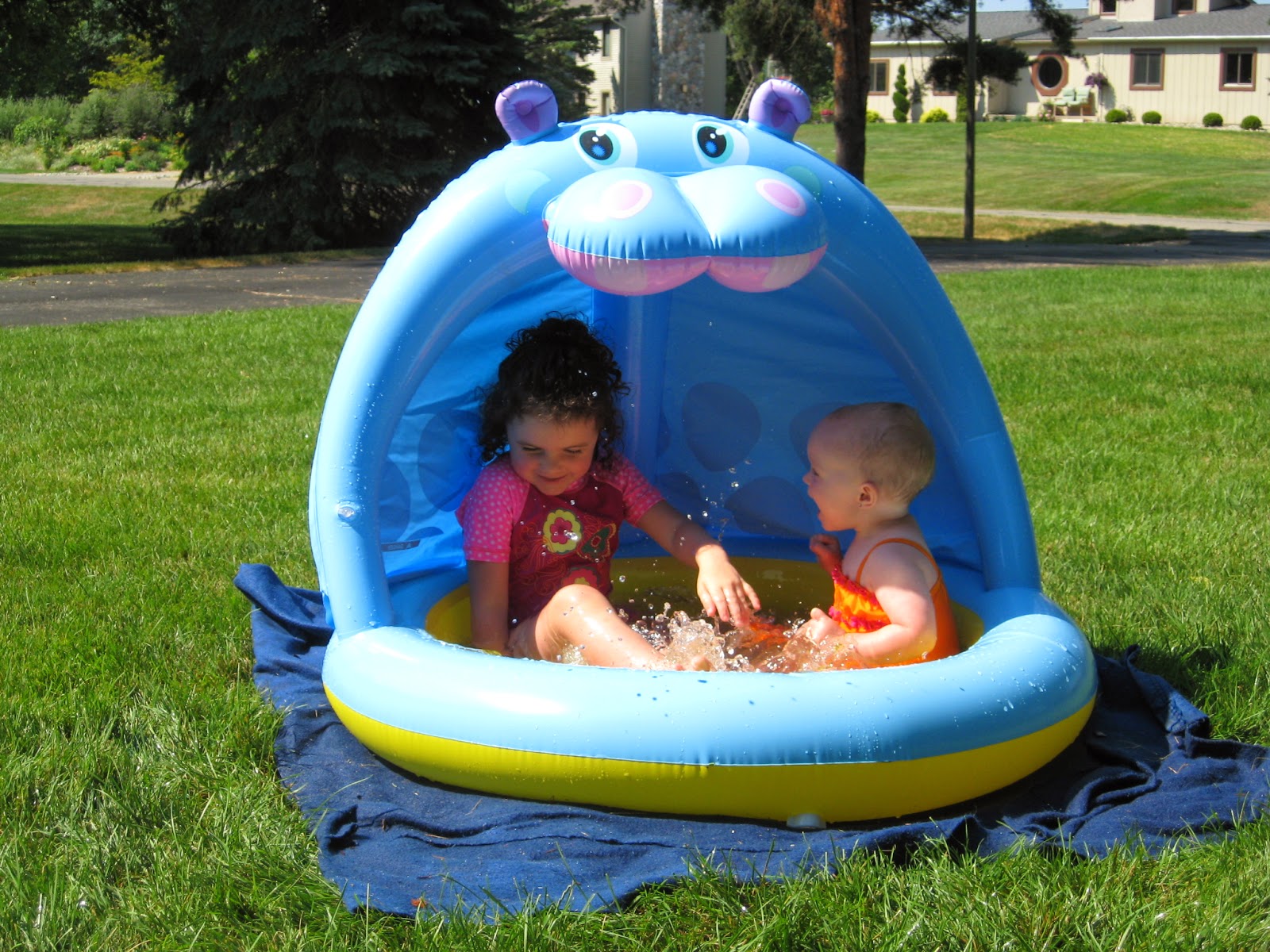 The Lapinski Family: The Hippo Pool