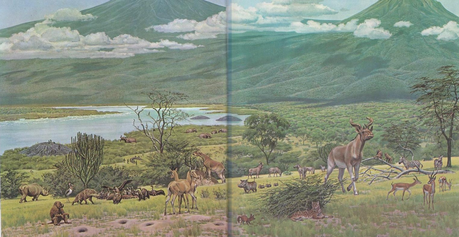 AGATHAUMAS: M'ammalia: gli scenari cenozoici di Jay Matternes